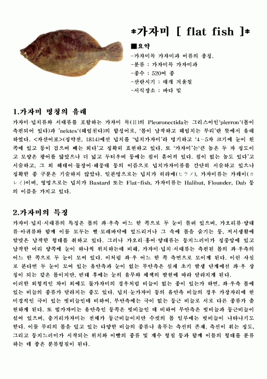 가자미[flat fish]의 특징 분포,분류,종류 및 생태