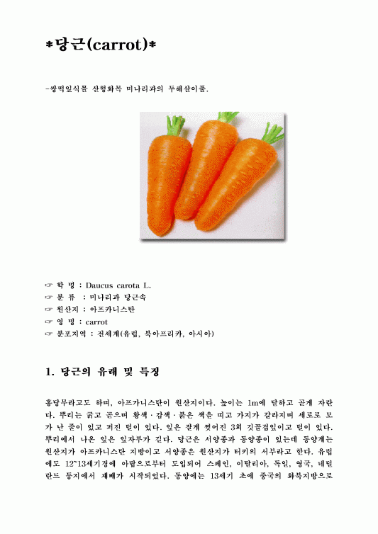 당근에 관한 모든것