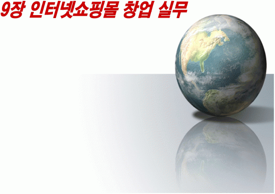 인터넷쇼핑몰 창업 실무에 관한 발표자료