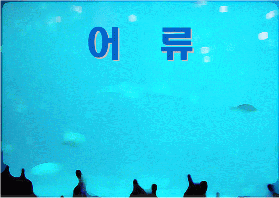 어류 조사 레포트 자료