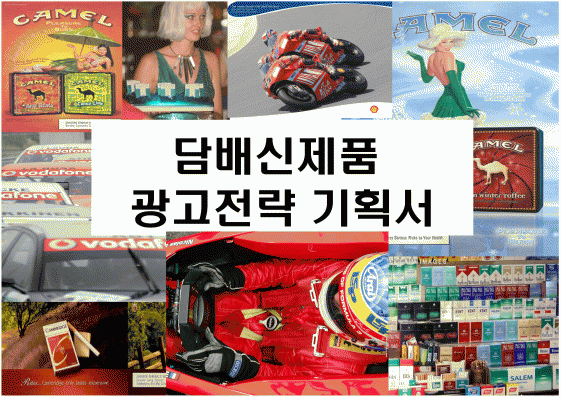 담배신제품 광고전략 기획서