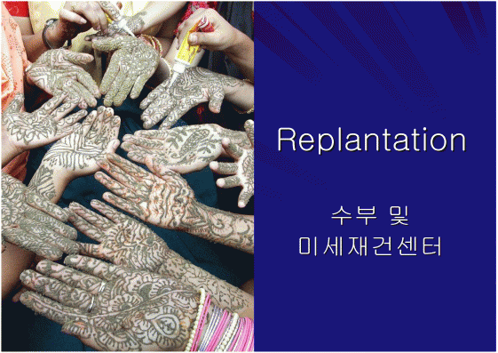 Replantation 이란?