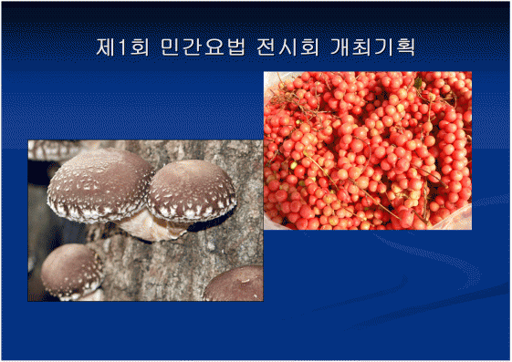 민간요법 전시 컨벤션 기획서
