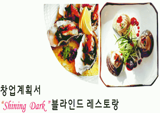 샤이닝다크 음식점(창업 계획서)