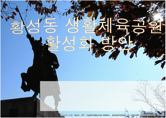 경주 황성동 생활체육공원 활성화 방안 PPT