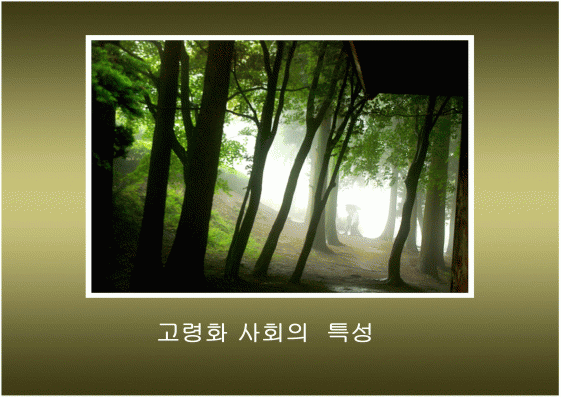 고령사회의특성
