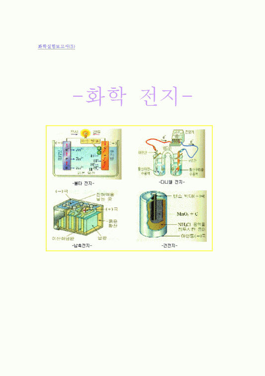 화학 전지 이론 및 실험 보고서