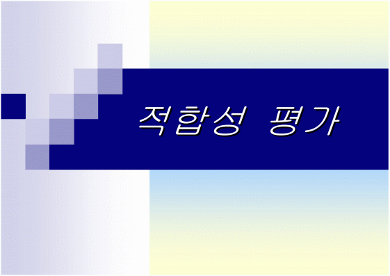 적합성 평가 레포트 자료