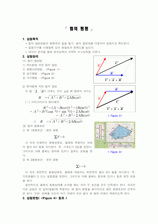 힘의 평형 [자연과학]