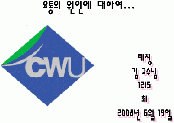 요통 과 척추부근 근육의 종류 와 척추측만증 원인과 치료방법