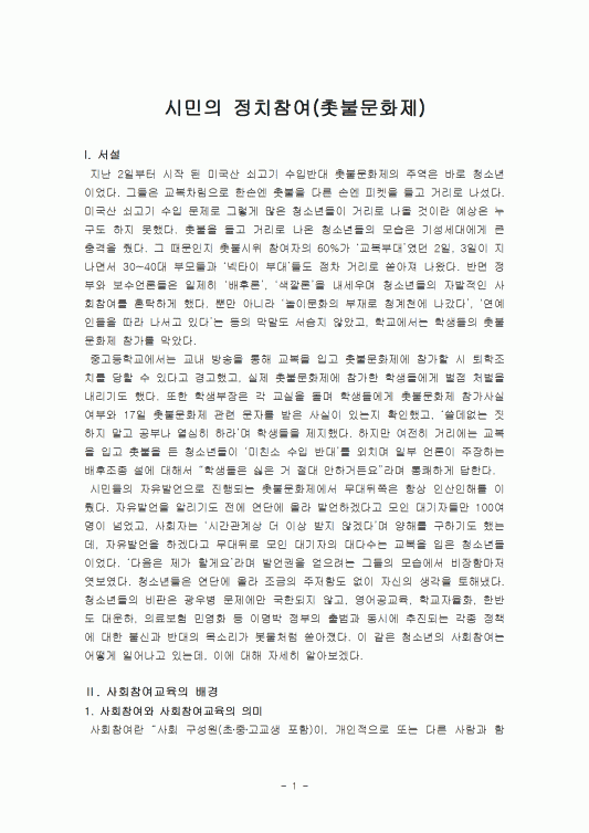 시민(청소년)의 정치참여(촛불문화제)