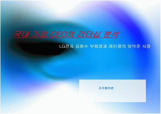 국내기업 CEO의 리더십 분석