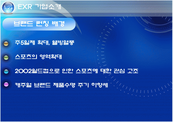 EXR의 정보시스템과 CRM 시장환경