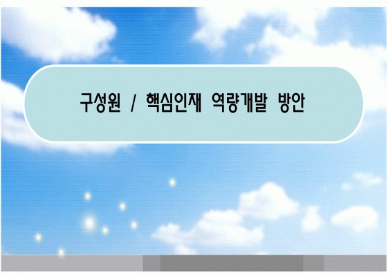 구성원 , 핵심인재 역량개발 방안