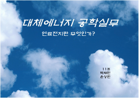 연료전지 [공학/컴퓨터]