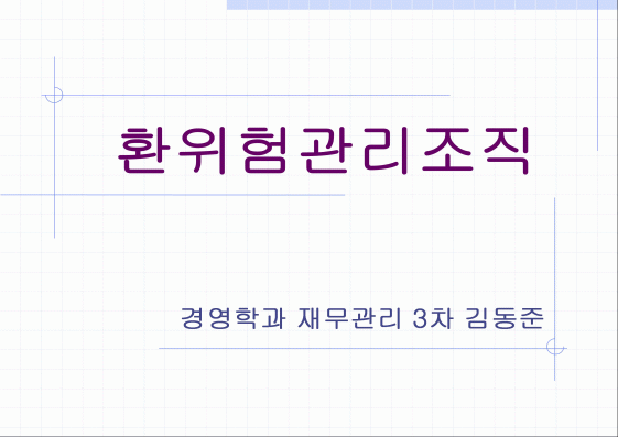 환위험 관리 조직