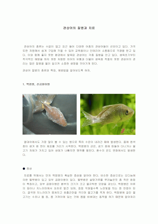 관상어의 질병와 치료