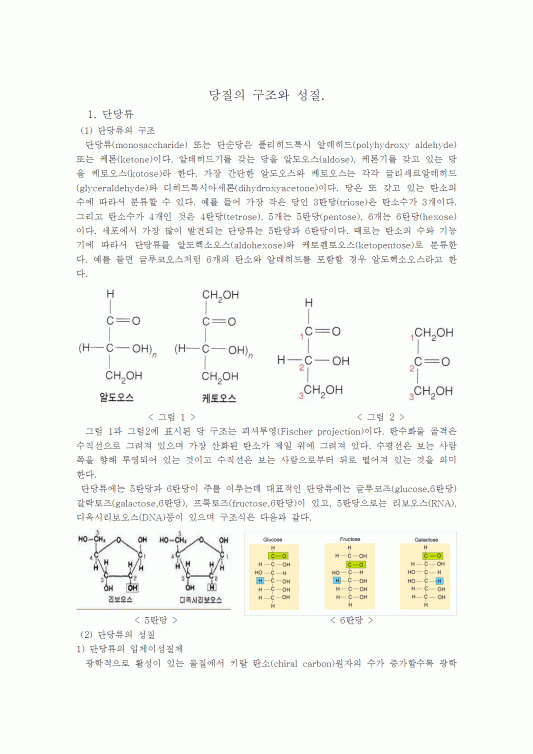 당질의 구조와 성질