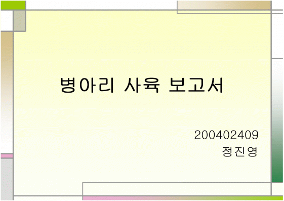 병아리 사육보고서