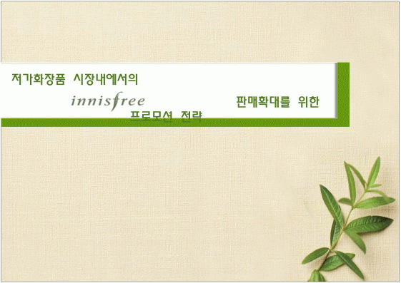 [마케팅관리]판매촉진을 위한 이니스프리 프로모션 전략