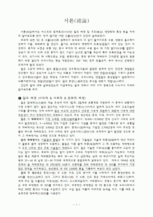 밀에 대해서 / 비스킷에 대해서 / 결론
