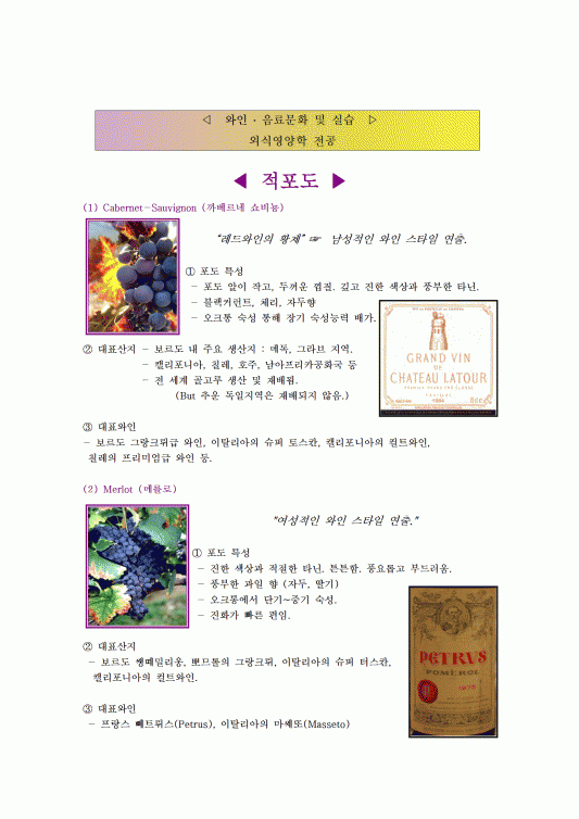 와인의 대표적인 포도품종