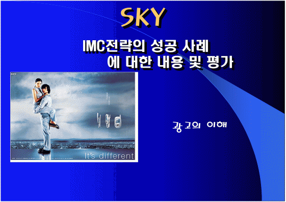 스카이(SKY), MIC 전략의 성공사례에 대한 내용 및 평가
