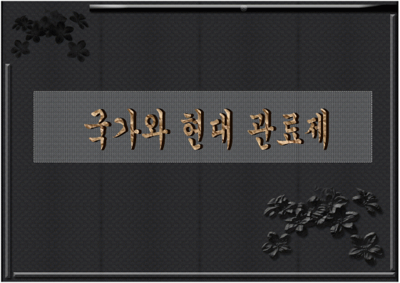 현대국가와 관료제의 역활 문제점 해결방안 등등