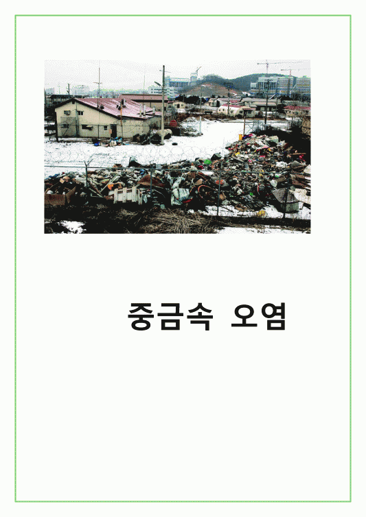 토양 오염 (중금속 오염)