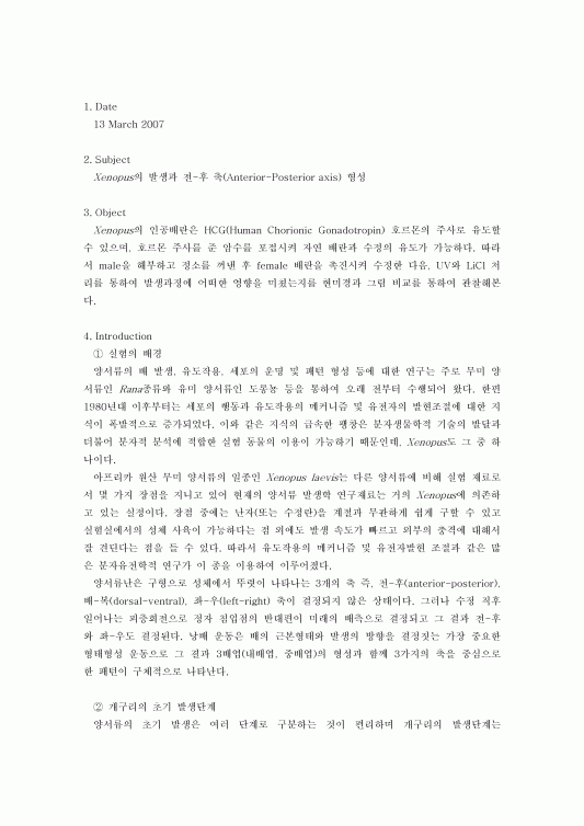 Xenopus의 발생과 전-후 축(Anterior-Posterior axis) 형성