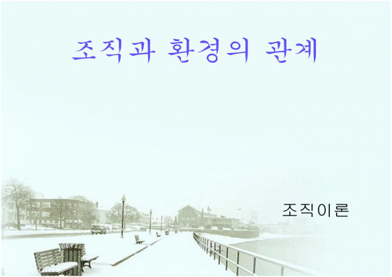 조직과 환경의 관계 분석