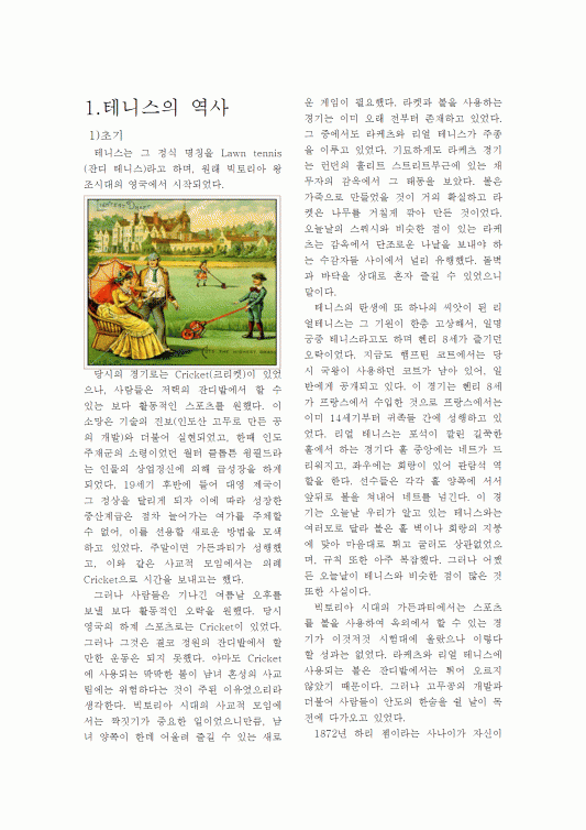 테니스의 이해