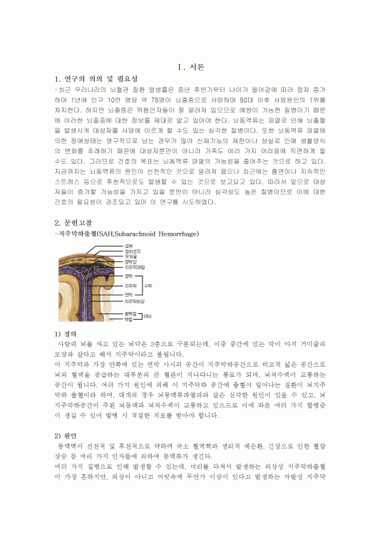 지주막하출혈(SAH)