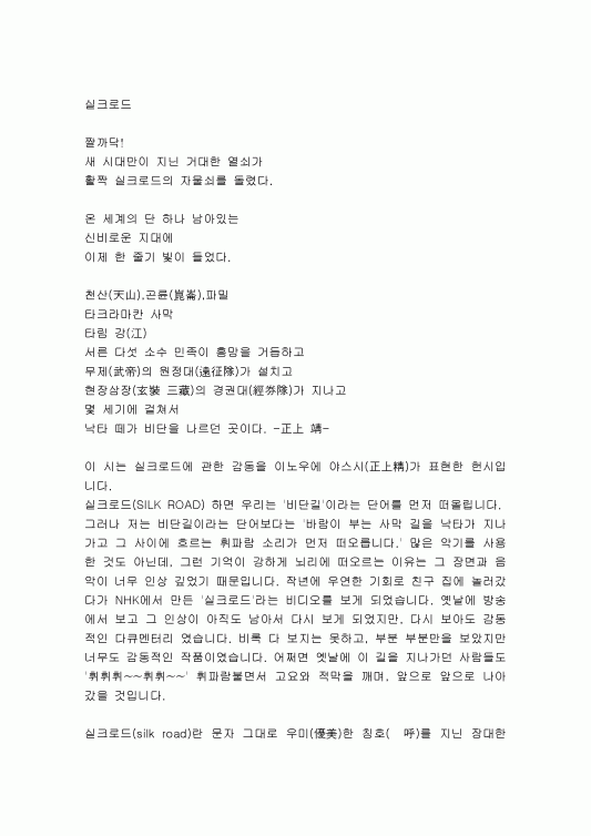 실크로드 의의와 실크로드 전반적 내용(대학 레포트)