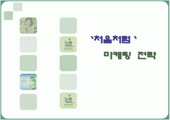 처음처럼 마케팅전략분석