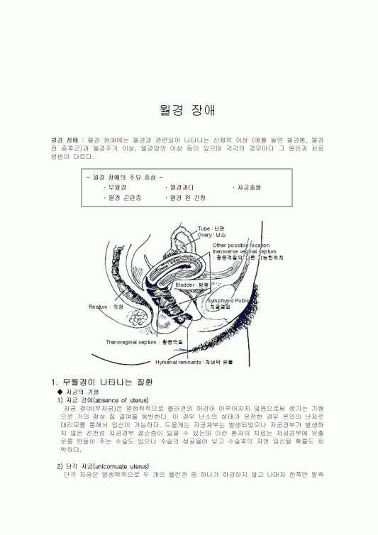 월경장애와 간호