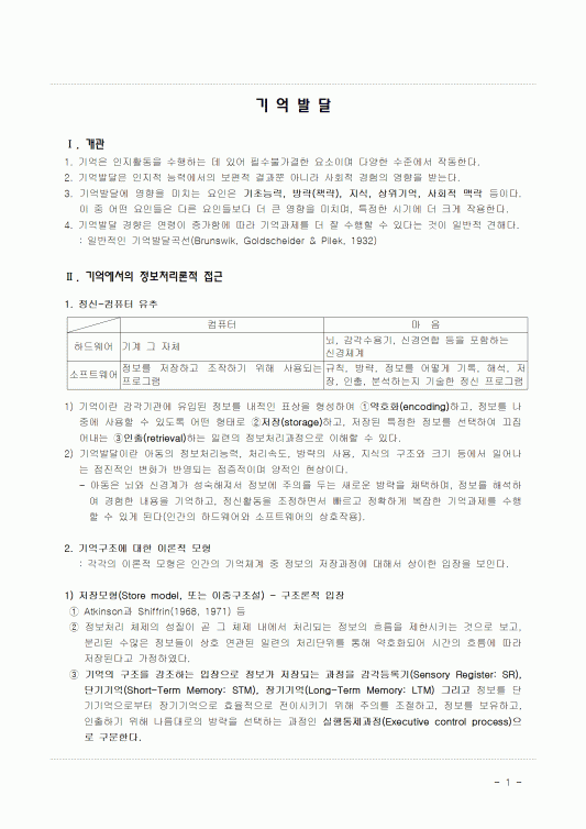 기억발달 레포트 자료