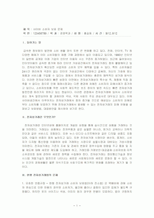 [비지니스] 사이버 소비자 보호 문제