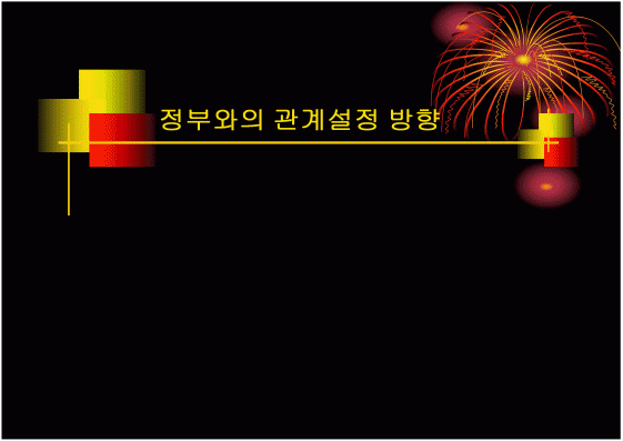 정부와의 관계설정 방향