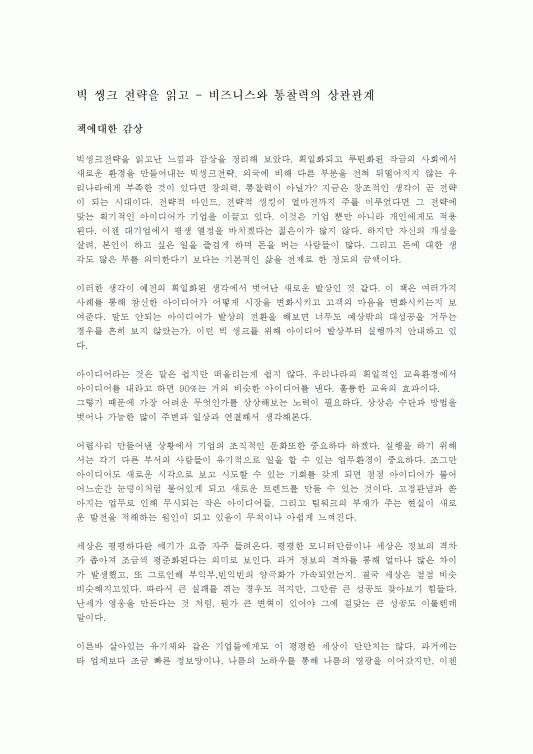 빅 씽크 전략을 읽고 - 비즈니스와 통찰력의 상관관계