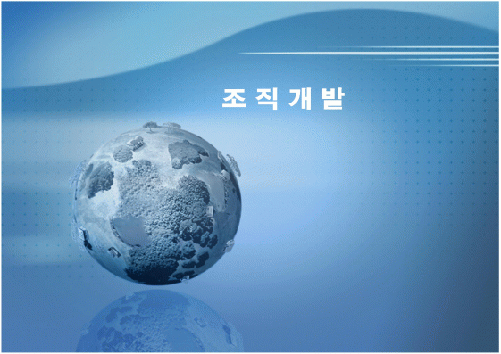 조직개발 레포트