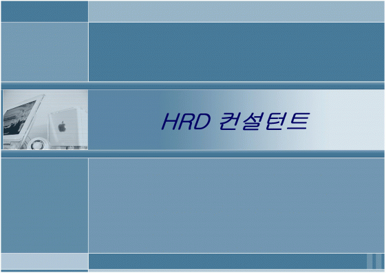 HRD 컨설턴트 레포트 자료