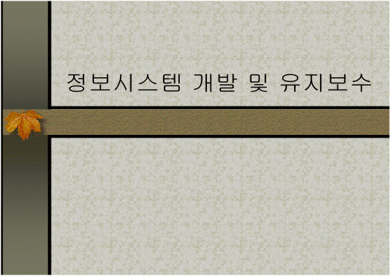 정보시스템 개발 및 유지보수