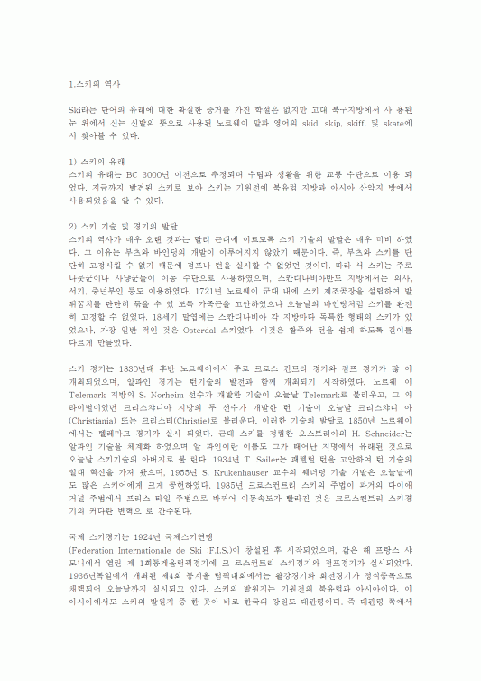 스키 입문 레포트 자료