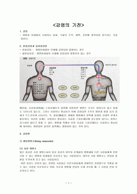 <감염의 기전>