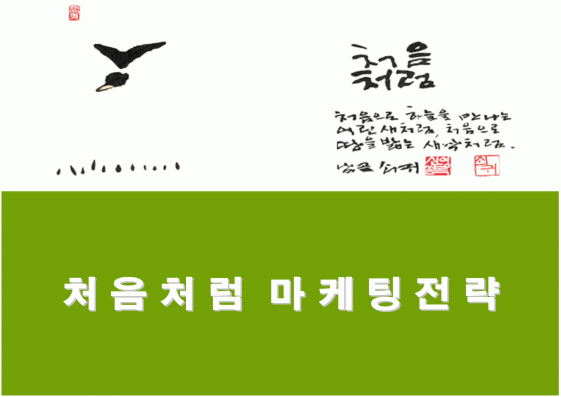 두산 처음처럼의 마케팅전략 성공사례