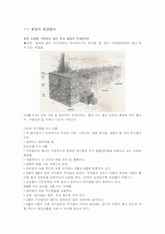 환경생물학 (토양오염)