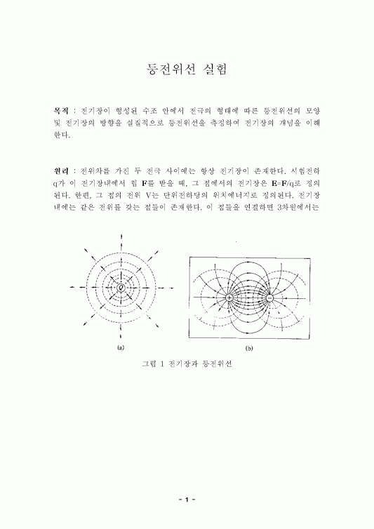 등전위선 등전위선 예비 등전위선 예비 리포트
