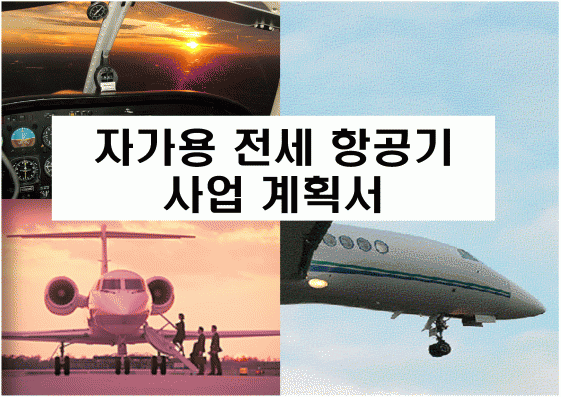 자가용 전세 항공기사업 계획서