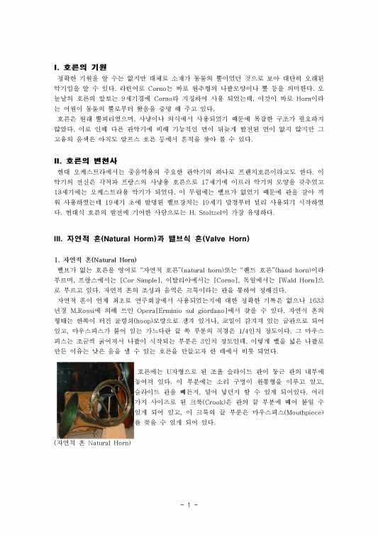 호른의 기원 레포트 자료
